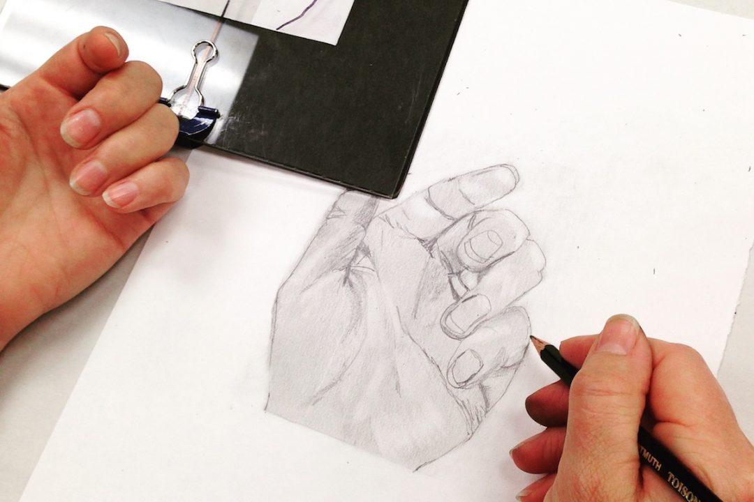 Drawing 2 – Light, Proportion & Cross Contour – Lupine Art Studio